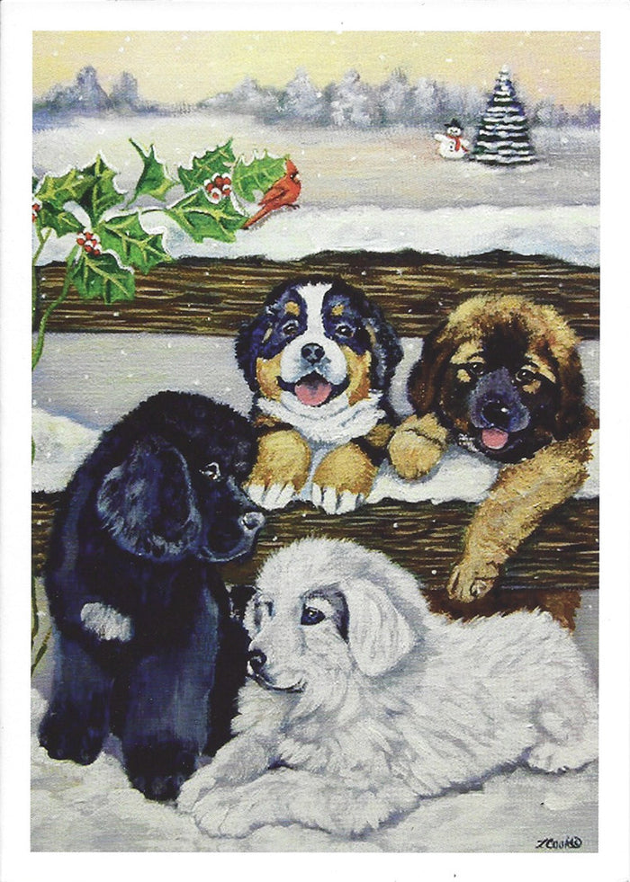 4 Puppies Christmas Cards - sold individually – BIG Gentle Dogs