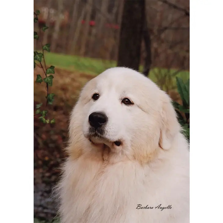 Great Pyrenees Garden Flag – BIG Gentle Dogs