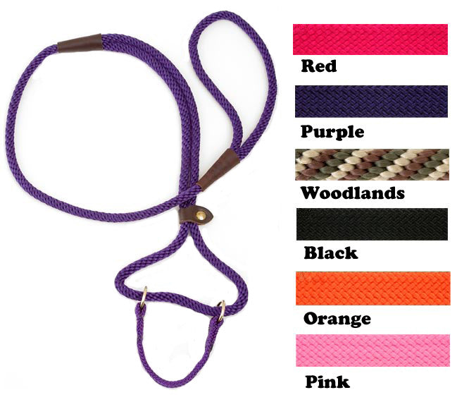 6' Martingale Style Big Dog Walker* – BIG Gentle Dogs