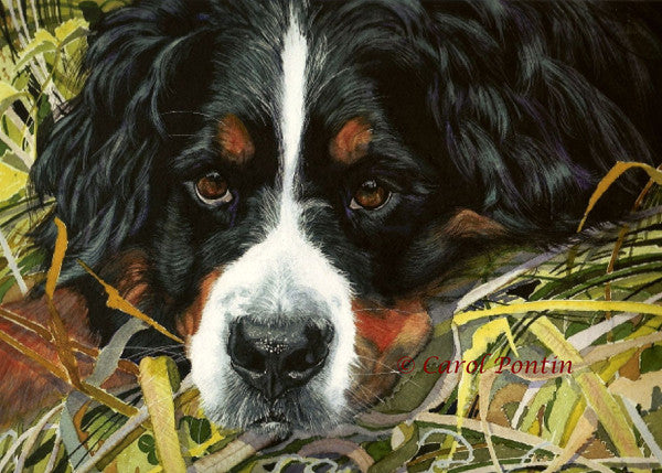 Amika, Limited Edition Print – BIG Gentle Dogs