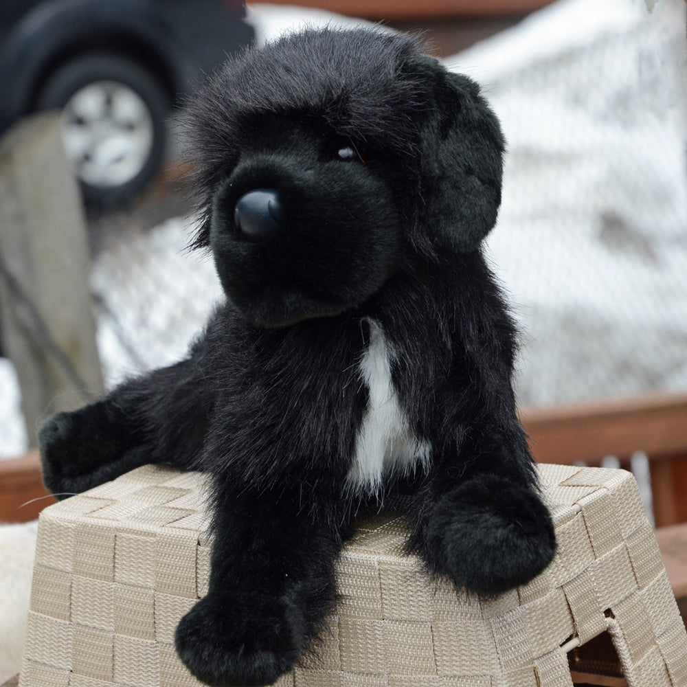 Bundy the stuffed Newfie – BIG Gentle Dogs