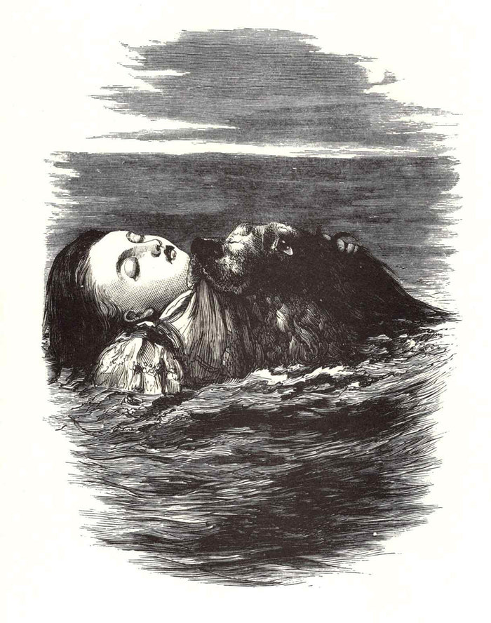 Dog Saving a Child from Drowning, Blank Note Card – BIG Gentle Dogs