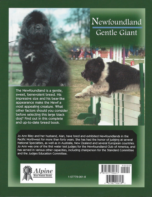 The Newfoundland: Gentle Giant – BIG Gentle Dogs