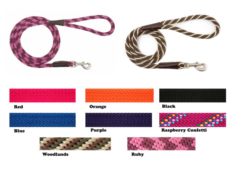 6' Snap Leash* – BIG Gentle Dogs