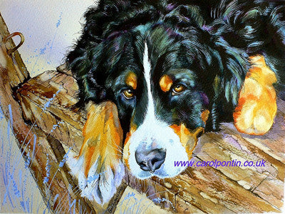 Zoie, Limited Edition Print – BIG Gentle Dogs