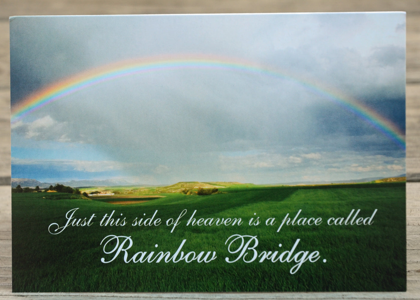 Rainbow Bridge, Sympathy Card – BIG Gentle Dogs